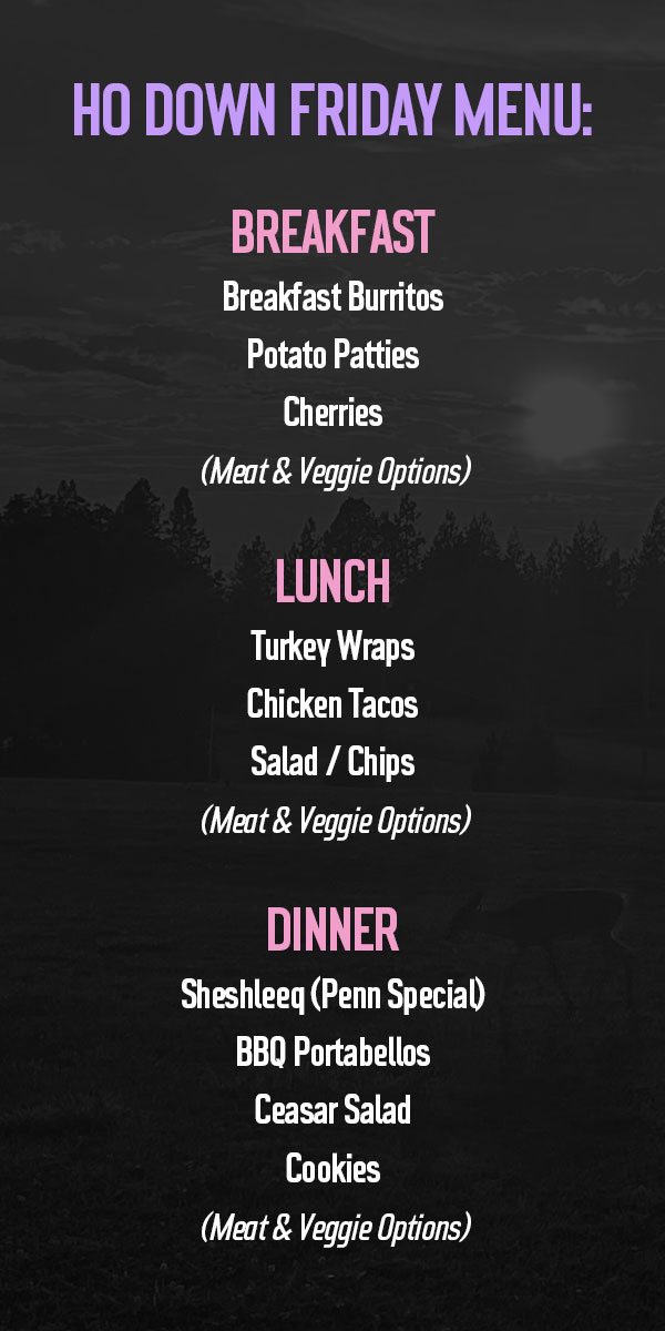 Houdini Ho Down Summer 2022 - Houdini Interactive